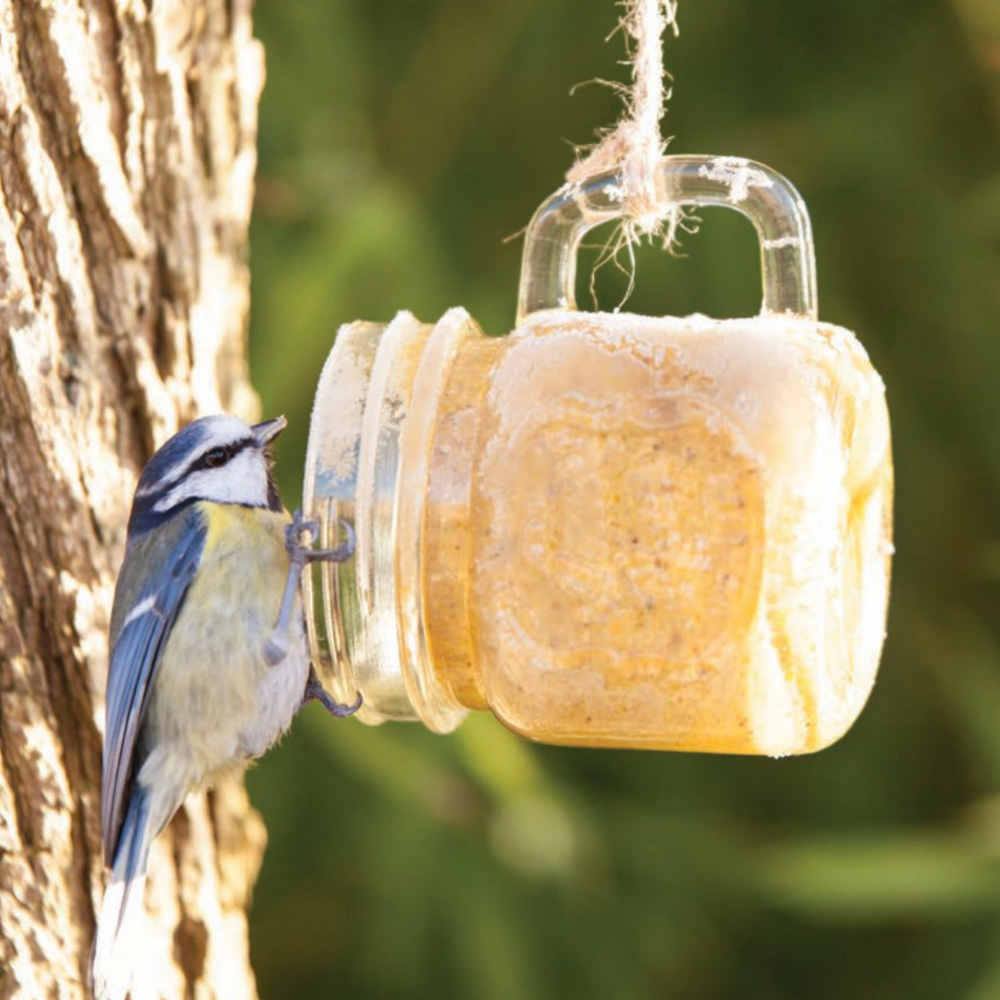 Peanut Butter Garden Mug Bird Feeders Gardening Gifts Direct